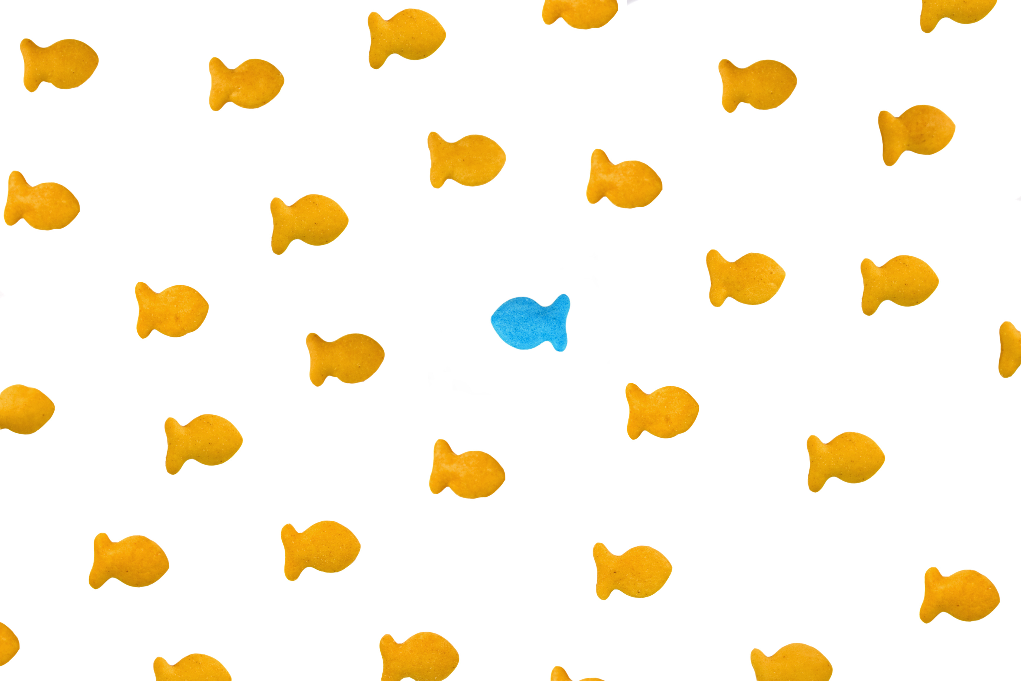 15 Excuses For Not Changing And 5 Reasons To Change The Way We Make